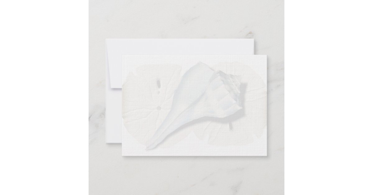 Whelk Shell Blank Note Cards | Zazzle