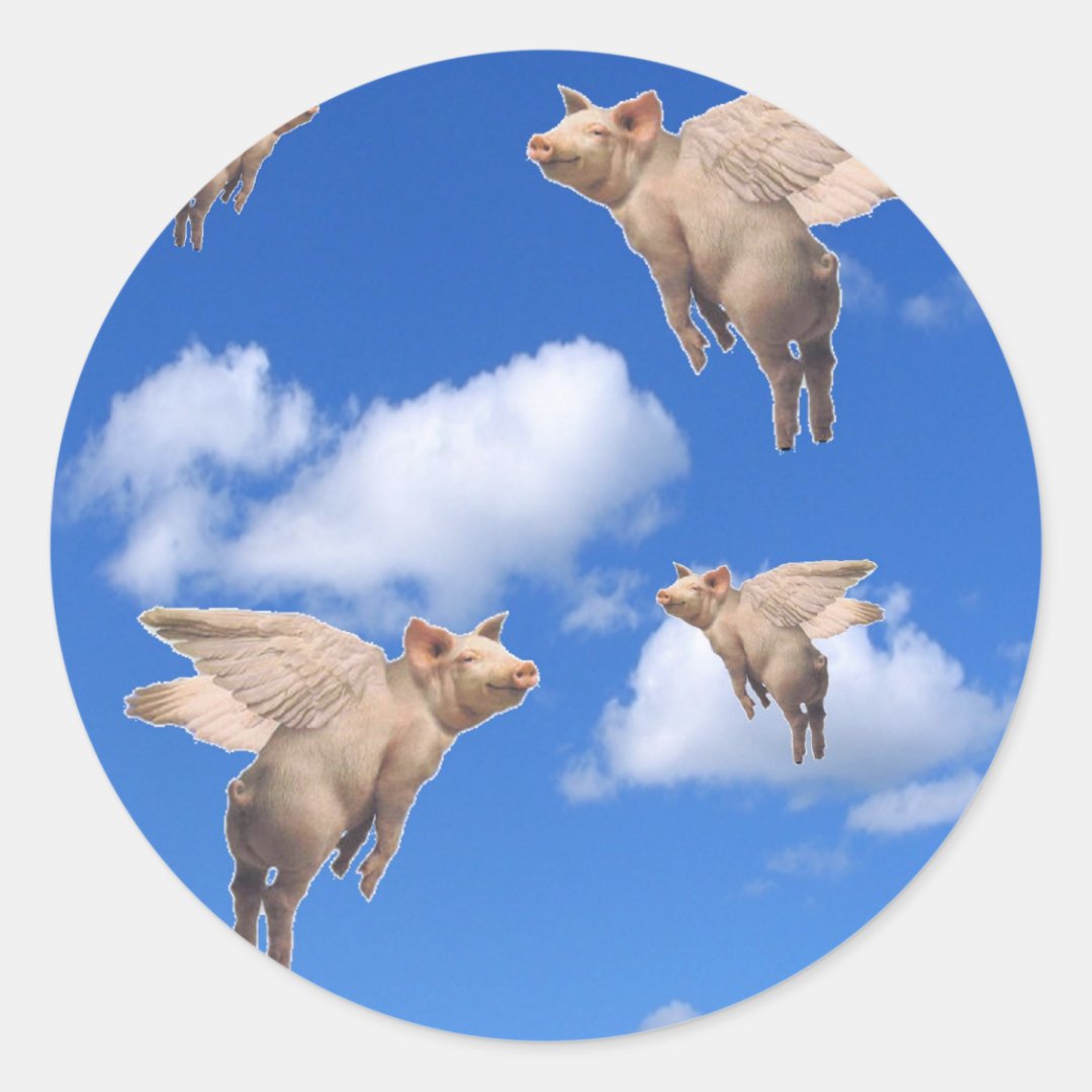 When Pigs Fly Classic Round Sticker | Zazzle