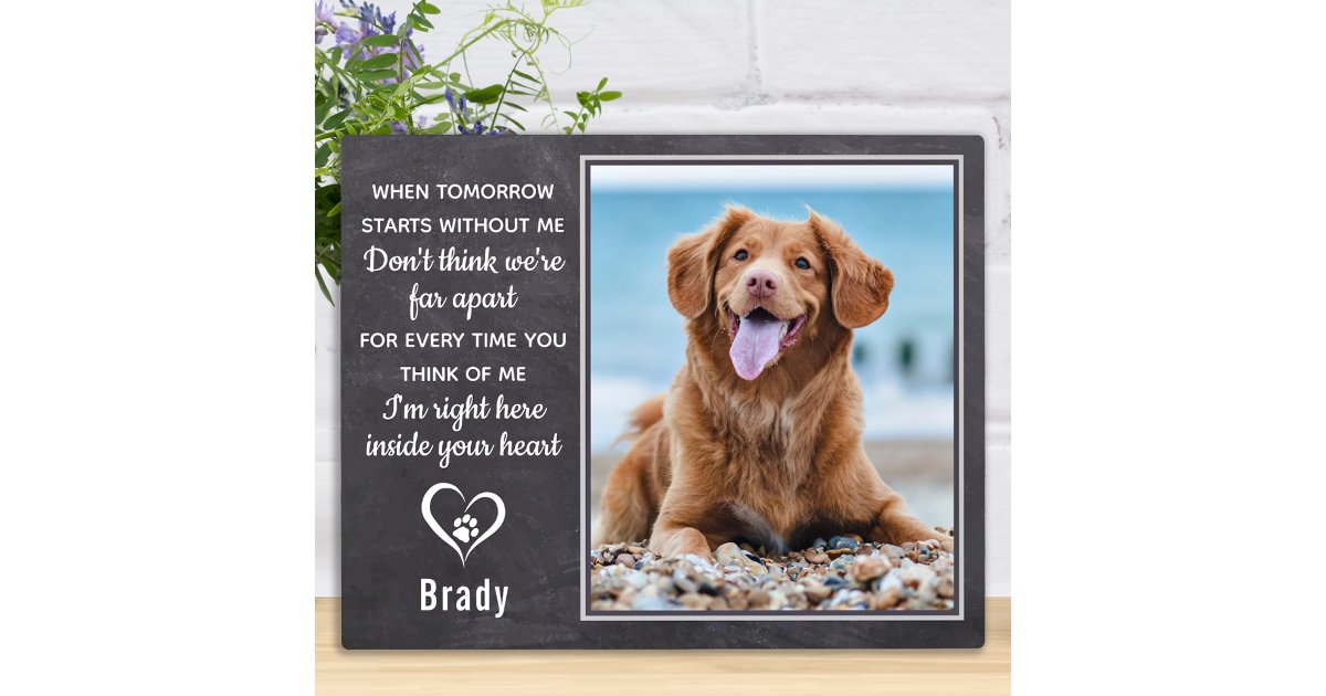 When Tomorrow Starts Without Me Dog Pet Memorial Plaque | Zazzle