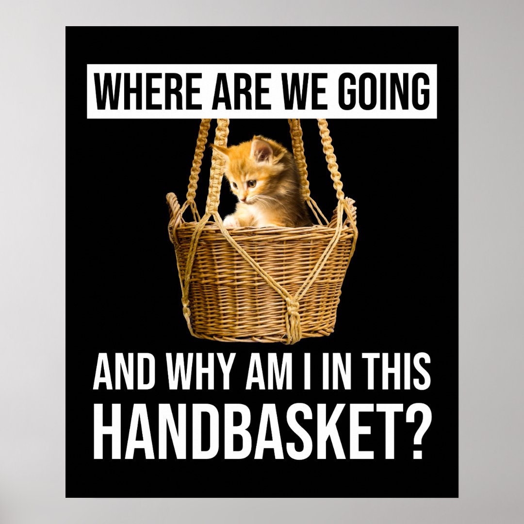 Where Are We Going & Why Am I In This Handbasket? Poster | Zazzle