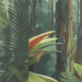 Whimsical Forest Tropical Rainforest River Wild Wallpaper | Zazzle