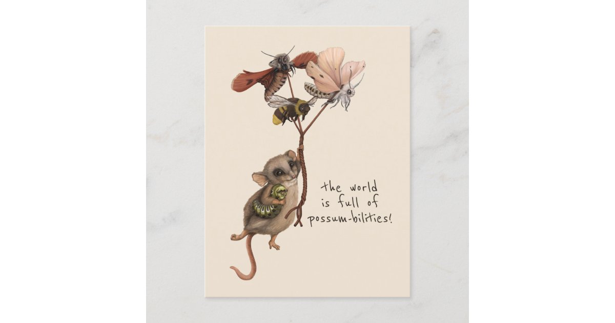 Whimsical Possum and Inspirational Adventure Quote Postcard | Zazzle