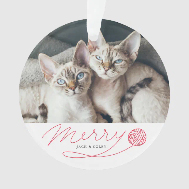 Whimsical Red Merry Script Cat Photo Ornament | Zazzle