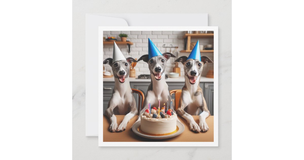 Whippet card, Whippet birthday, Whippet Invitation | Zazzle