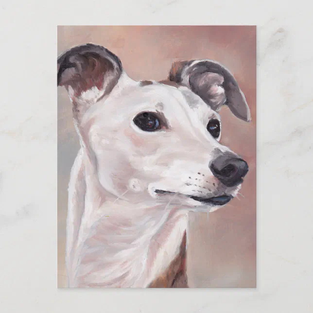 Whippet Dog Art Postcard | Zazzle