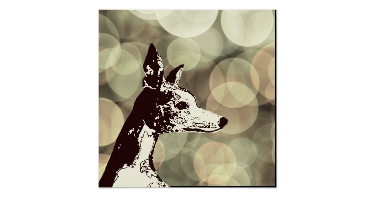 Whippet Poster | Zazzle