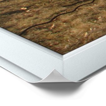 White 3 Pane Window Illusion Country Autumn Poster | Zazzle