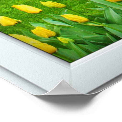 White 3 Pane Window Illusion Spring Garden Poster | Zazzle