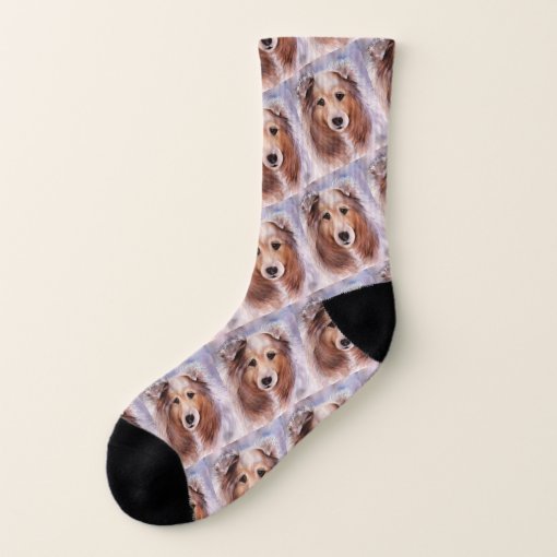 White and Tan Border Collie Socks | Zazzle