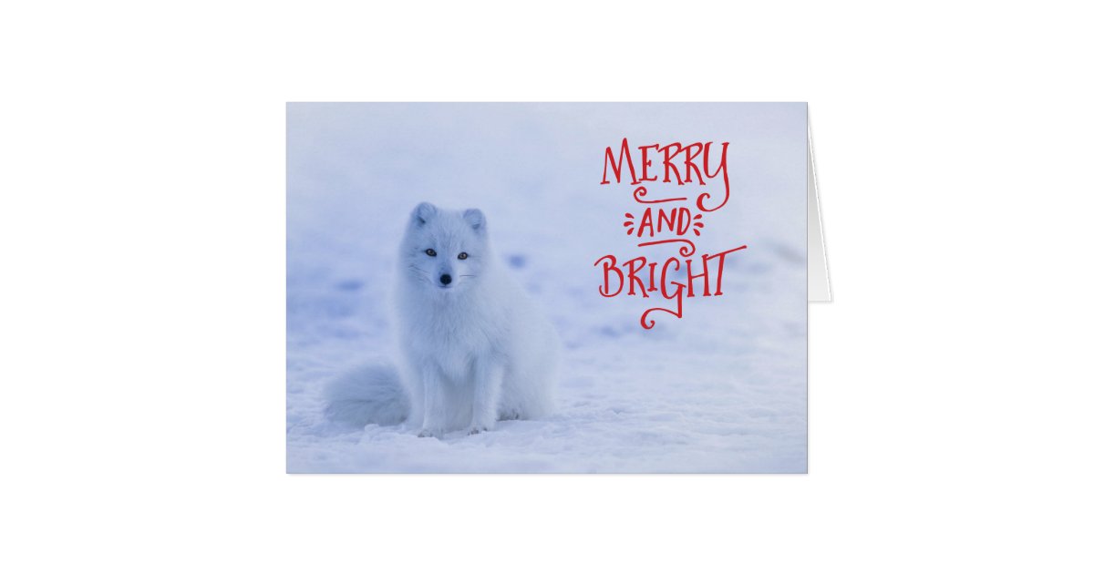 White Arctic Fox Christmas Card | Zazzle