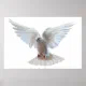 White Beautiful flying pigeon Poster | Zazzle