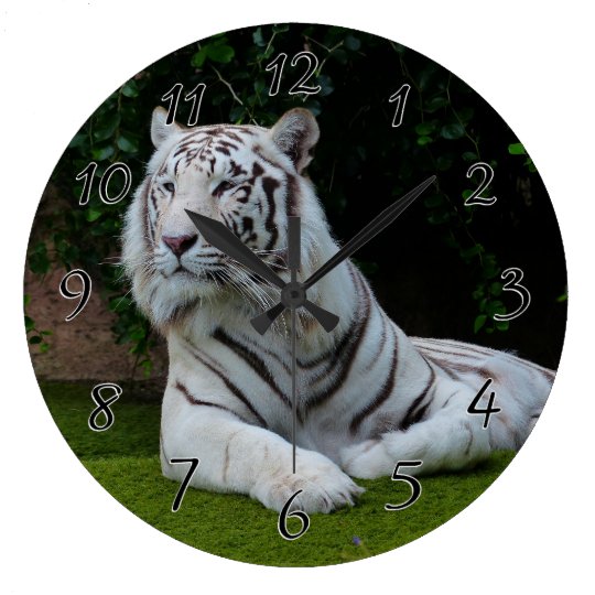 White Bengal Tiger Large Clock | Zazzle.com