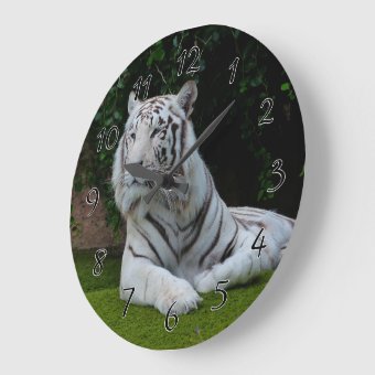 White Bengal Tiger Large Clock | Zazzle