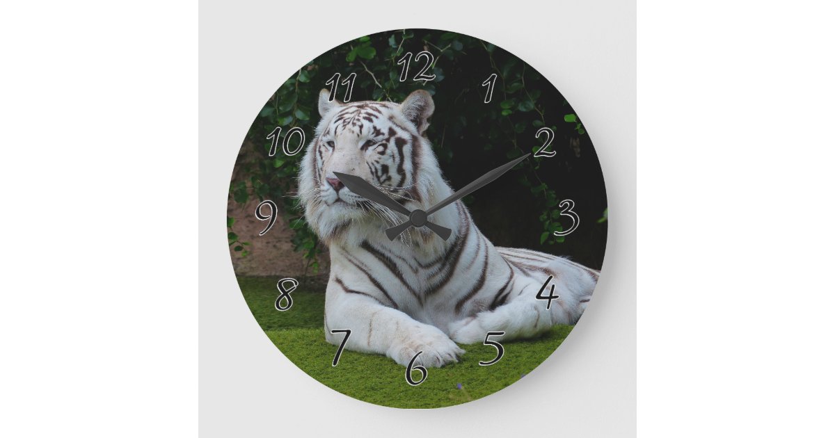 White Bengal Tiger Large Clock | Zazzle