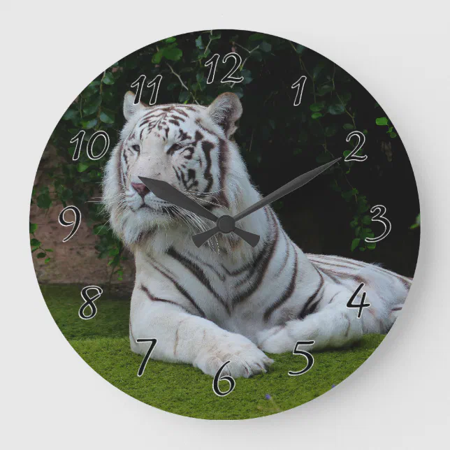 White Bengal Tiger Large Clock | Zazzle