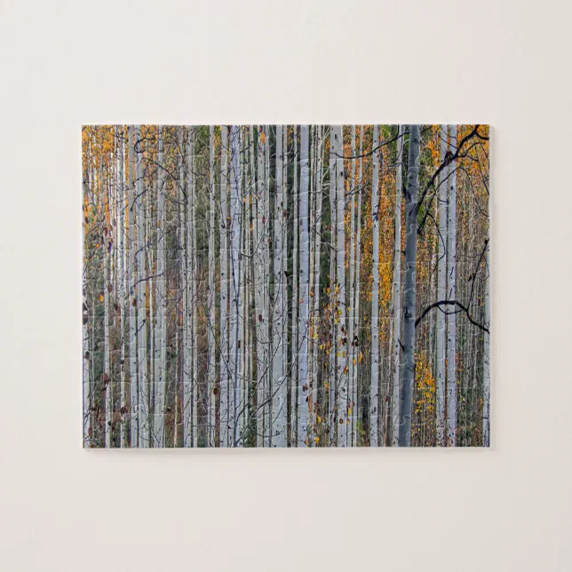 White Birch Trees Forest Country Nature Jigsaw Puzzle | Zazzle