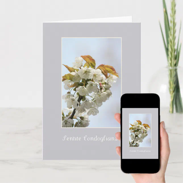 white blossom sympathy card italian | Zazzle