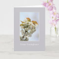 white blossom sympathy card italian | Zazzle