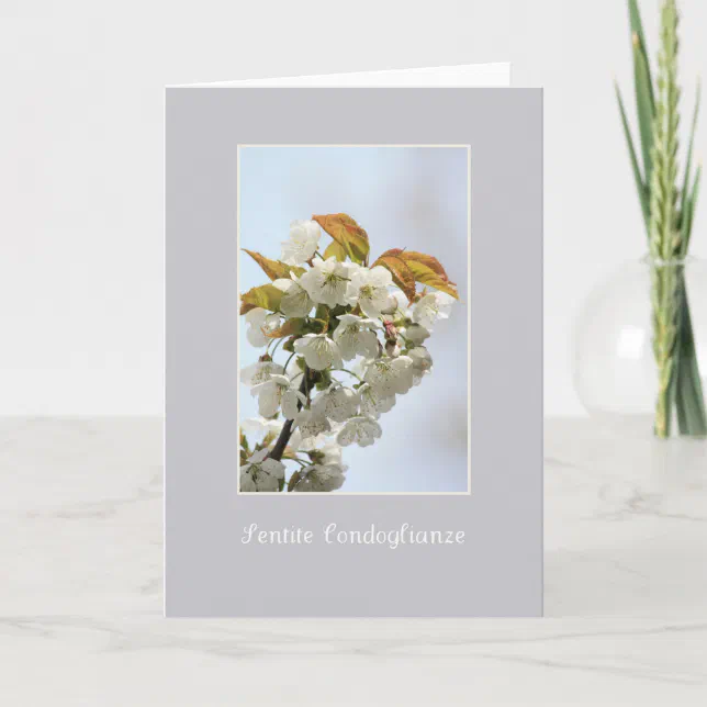 white blossom sympathy card italian | Zazzle