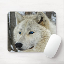 White Blue Eyed Snow Arctic Wolf Mouse Pad | Zazzle