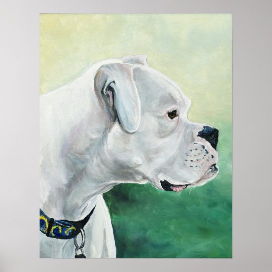 White Boxer Dog Art Print | Zazzle.com
