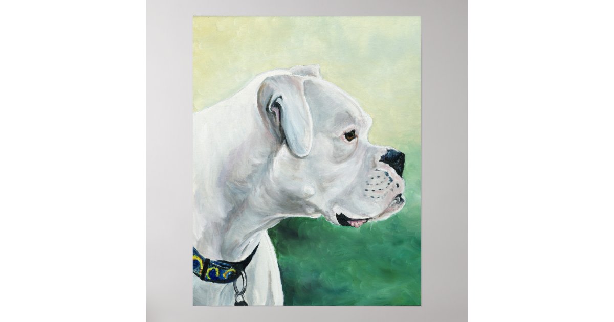 White Boxer Dog Art Print | Zazzle