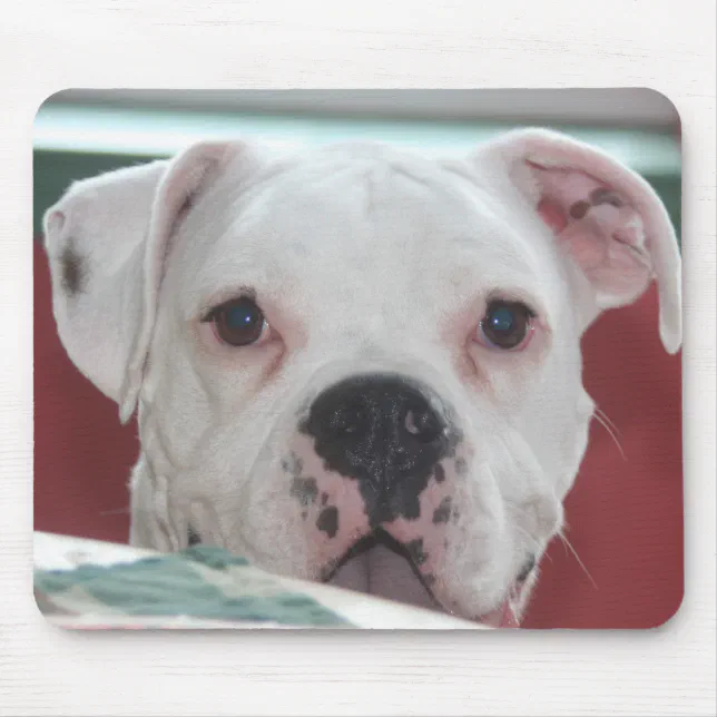 White Boxer Dog Photo Mouse Pad | Zazzle