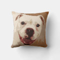 white Boxer Dog Throw Pillow | Zazzle