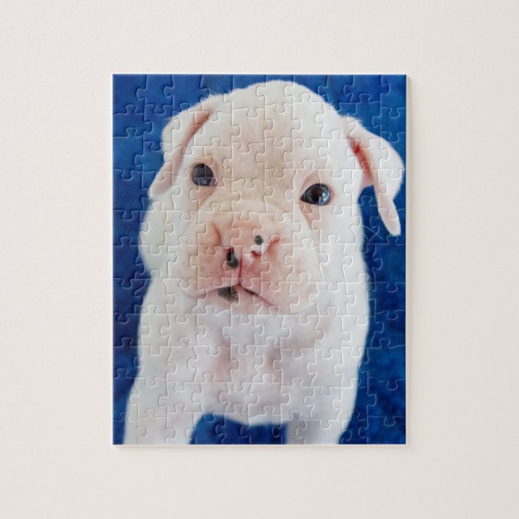 White Boxer Puppy Puzzle- Boxer Dog Puzzles | Zazzle