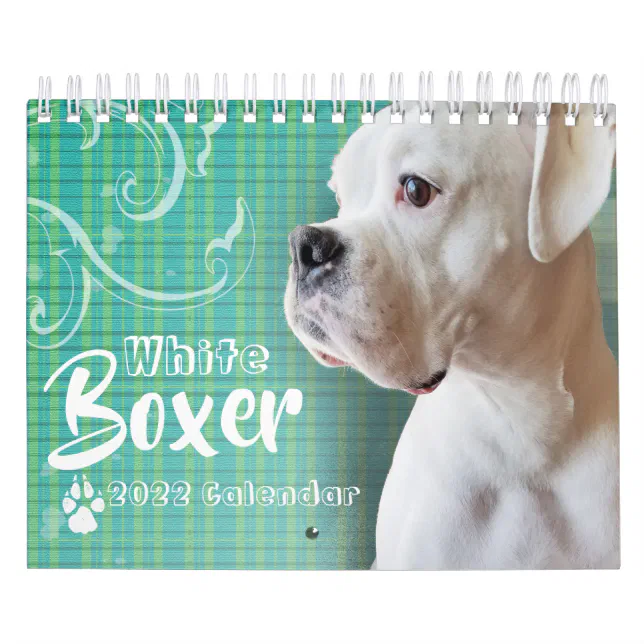White Boxer Wall Calendar | Zazzle