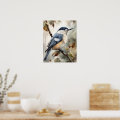 White Breasted Nuthatch Bird Art Print Poster | Zazzle