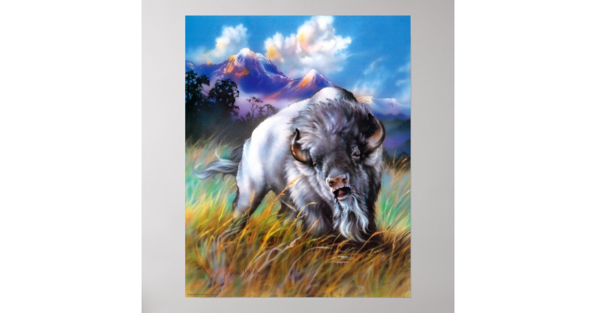 White Buffalo Poster | Zazzle