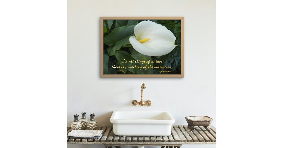White Calla Lily Aristotle Philosophical Quote Foil Prints | Zazzle