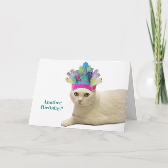 White Cat Birthday Card | Zazzle.com