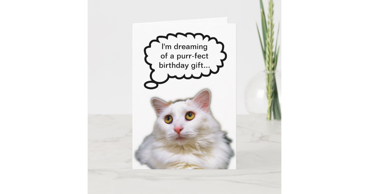 White Cat Birthday Humor Card | Zazzle