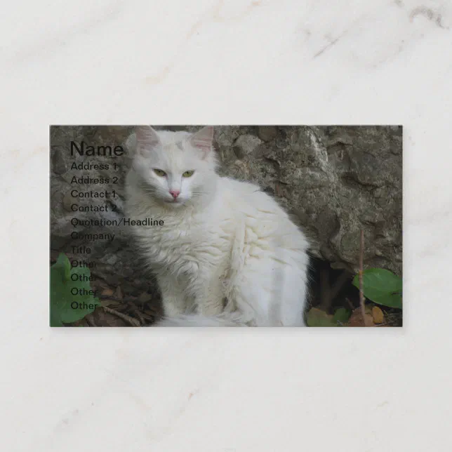White Cat Business Card | Zazzle