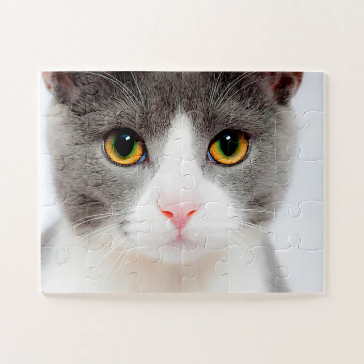 White Cat Face, Easy Cat Jigsaw Puzzle | Zazzle