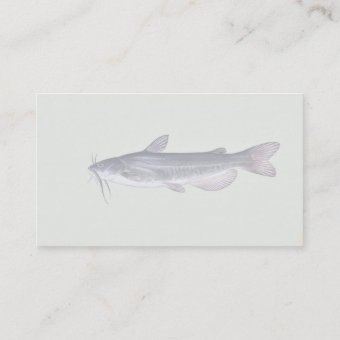 White catfish business card | Zazzle