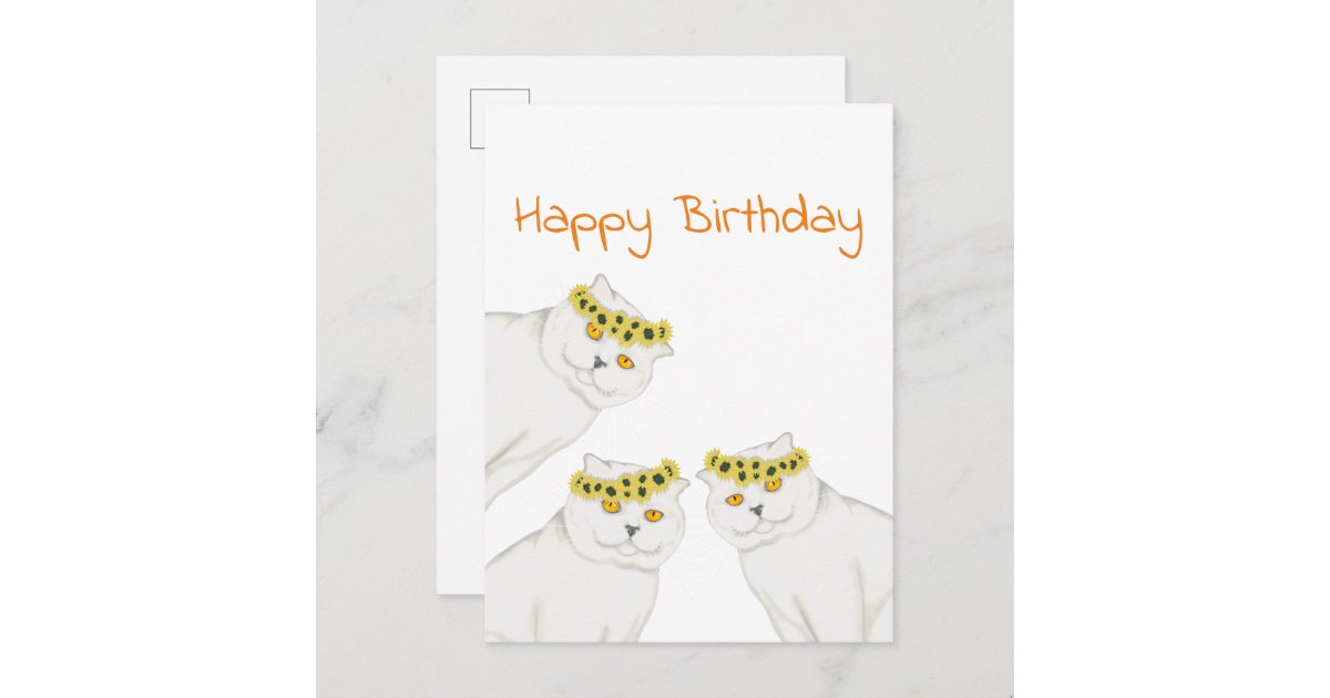 White cats Happy Birthday Postcard | Zazzle
