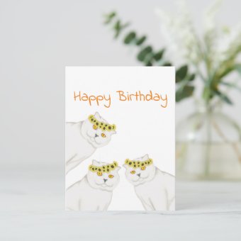White cats Happy Birthday Postcard | Zazzle
