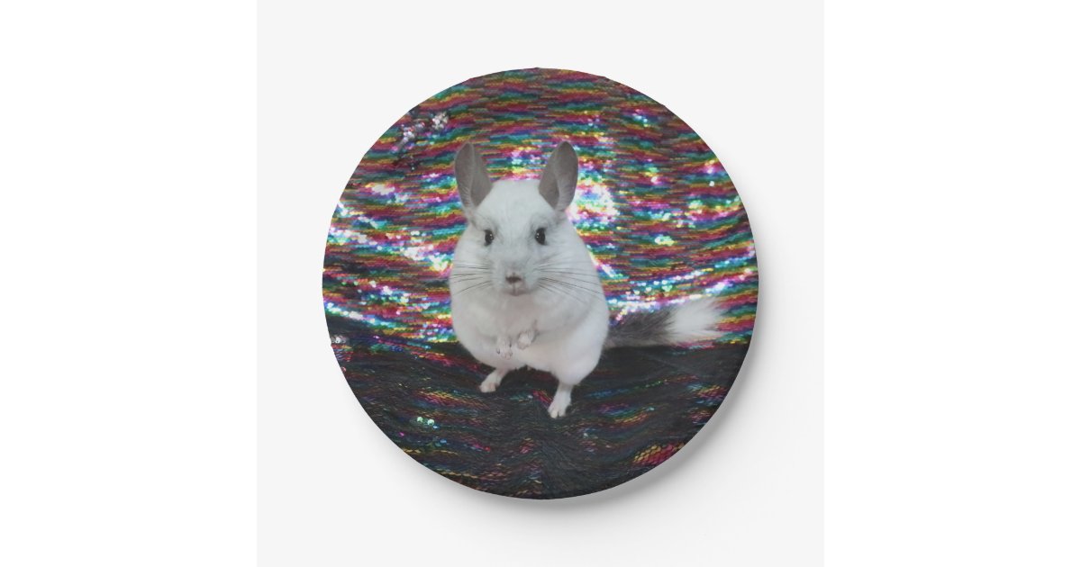 White Chinchilla superstar Paper Plates | Zazzle
