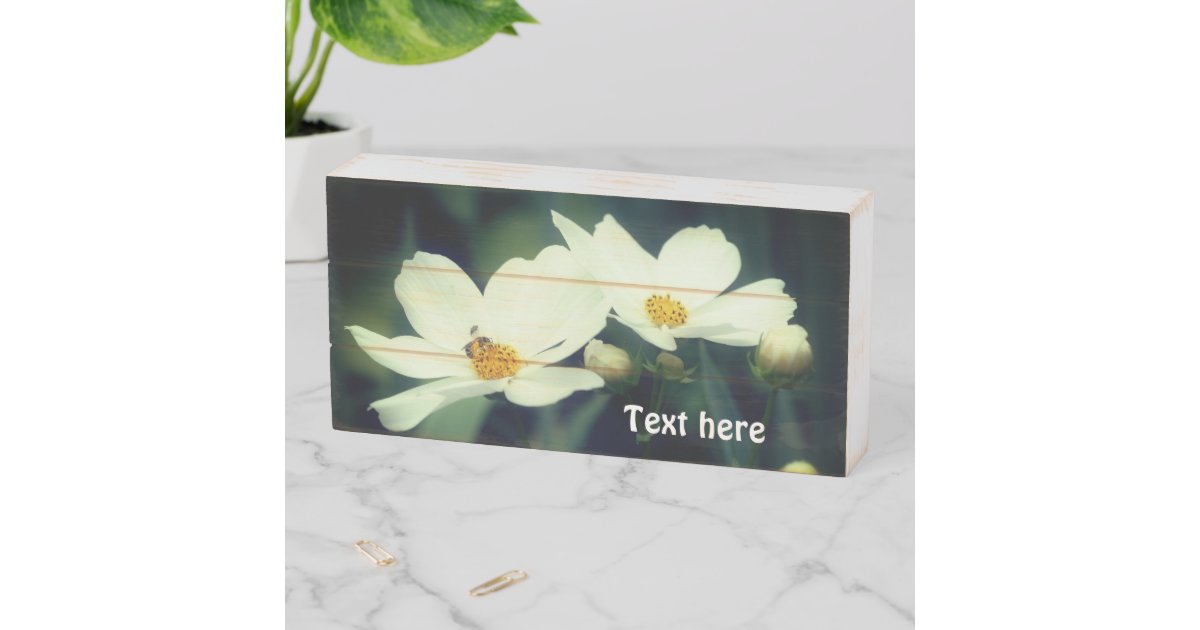 White Cosmos Flowers And Bee Personalized Wooden Box Sign | Zazzle