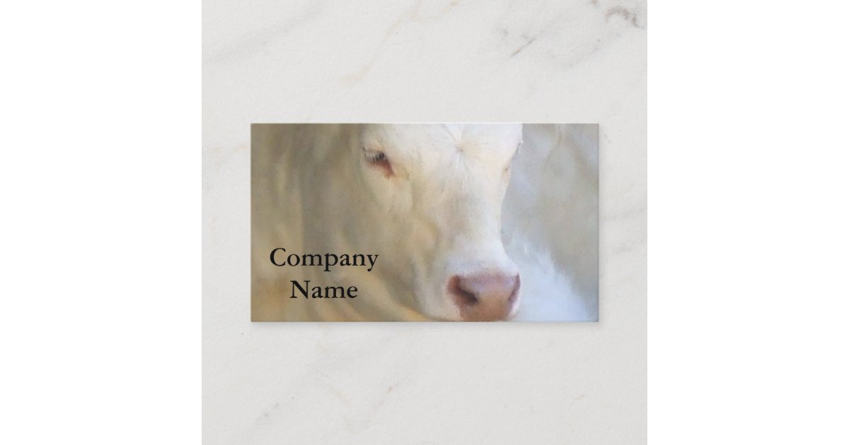 White Cow Business Cards | Zazzle