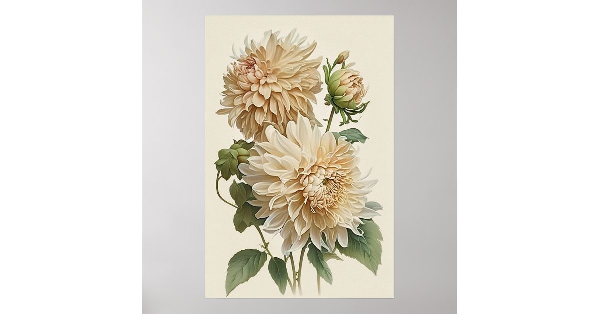 White Dahlias Flower Art Print Poster | Zazzle