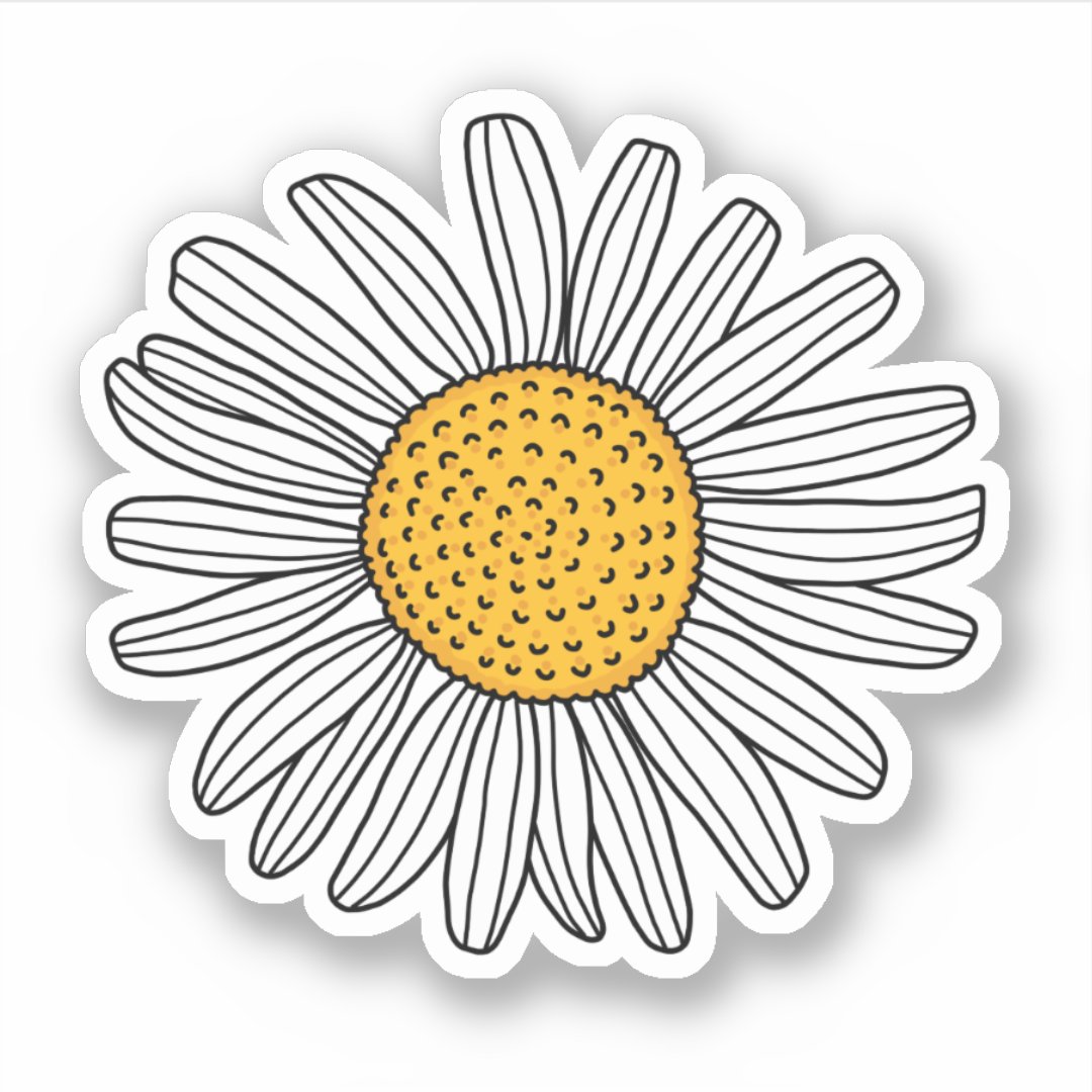 White daisy drawing sticker | Zazzle