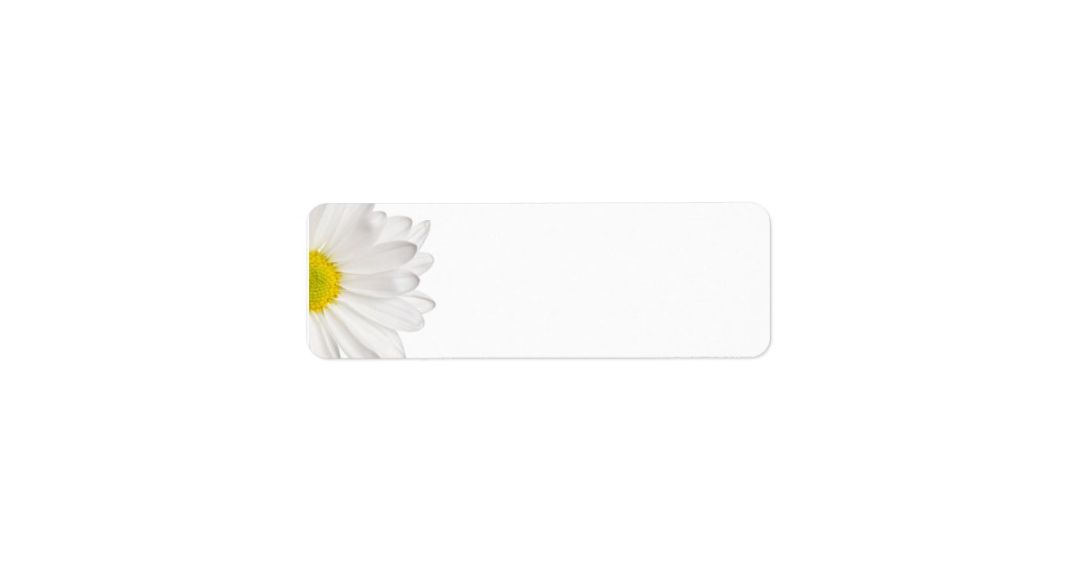 White Daisy Flower Background Customized Daisies Label | Zazzle