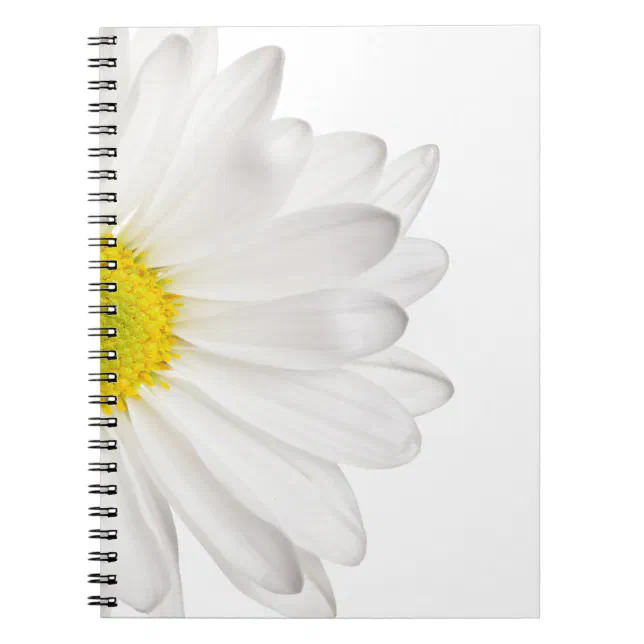 White Daisy Flower Background Customized Daisies Notebook | Zazzle