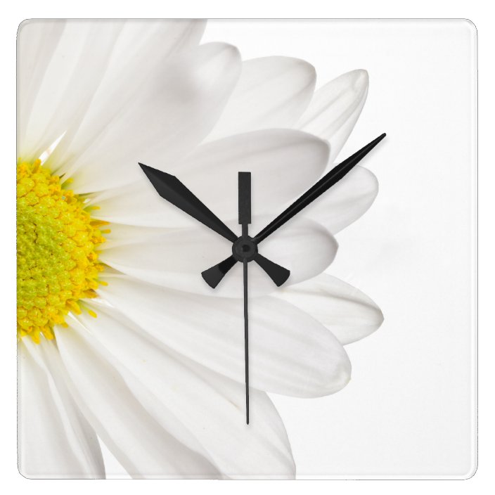 White Daisy Flower Background Customized Daisies Square Wall Clock ...