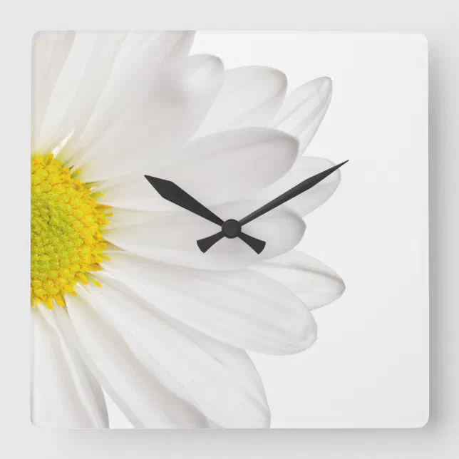 White Daisy Flower Background Customized Daisies Square Wall Clock | Zazzle