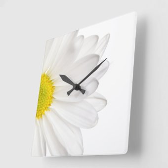 White Daisy Flower Background Customized Daisies Square Wall Clock | Zazzle